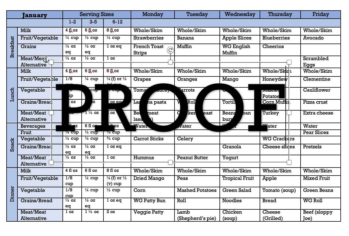 CACFP Editable Menus - Etsy