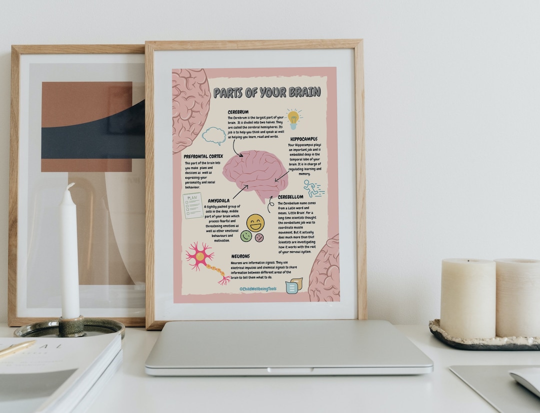 Brain DIGITAL Print Kids Poster, Brain Anatomy, Children Classroom ...