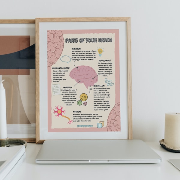 Brain Poster for Kids - Etsy