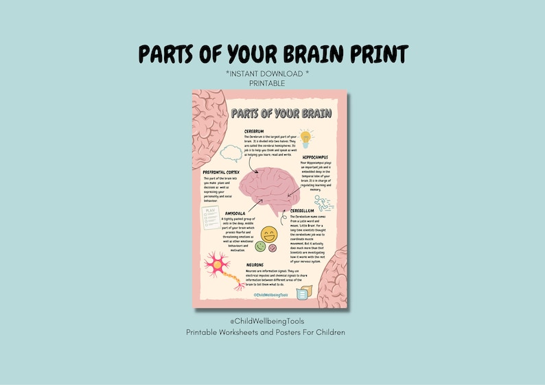 Brain DIGITAL Print Kids Poster, Brain Anatomy, Children Classroom ...