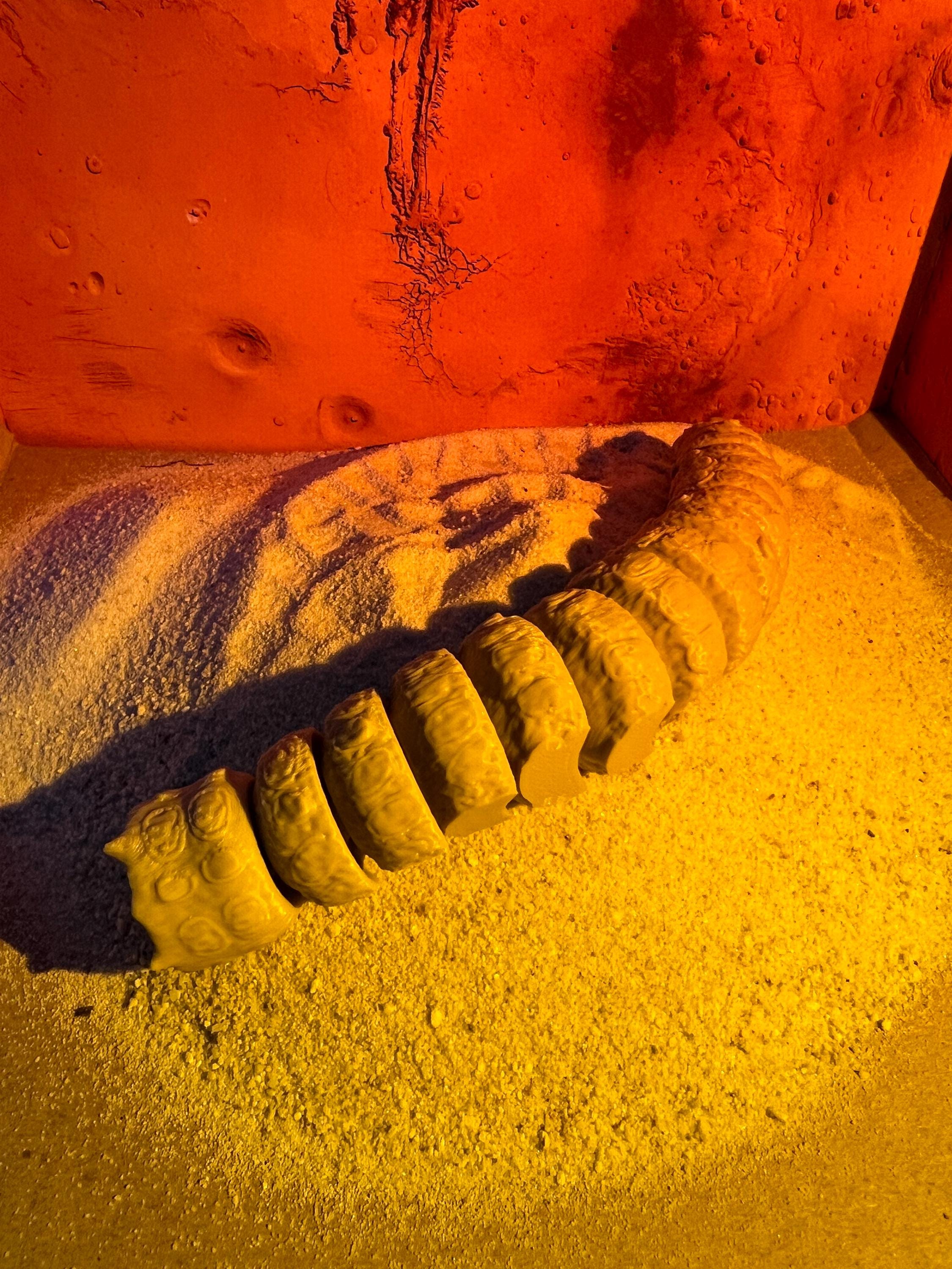 Flexible Dune Sandworm Toy – 3D Printed Articulated Sci-fi Creature ...