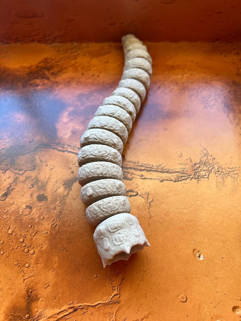 Flexible Dune Sandworm Toy – 3D Printed Articulated Sci-fi Creature ...