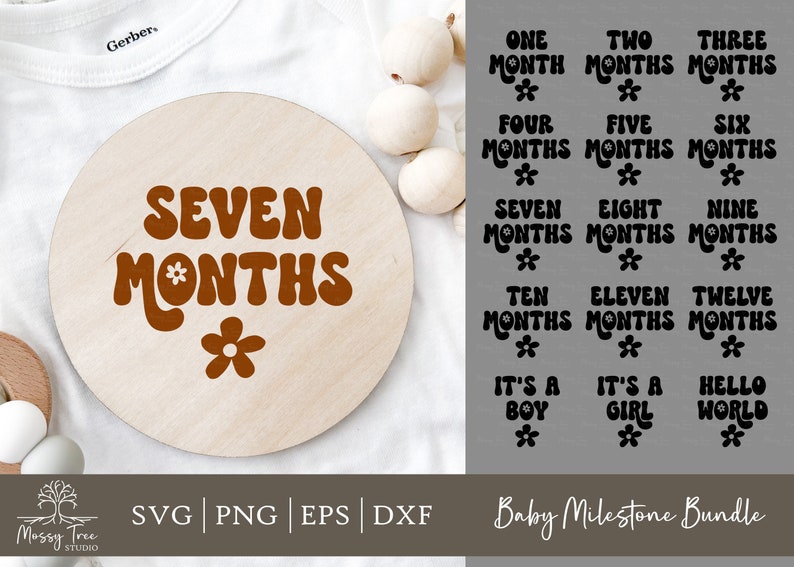 Retro Baby Milestones SVG | Boho Milestones Set | Retro Milestone Discs ...