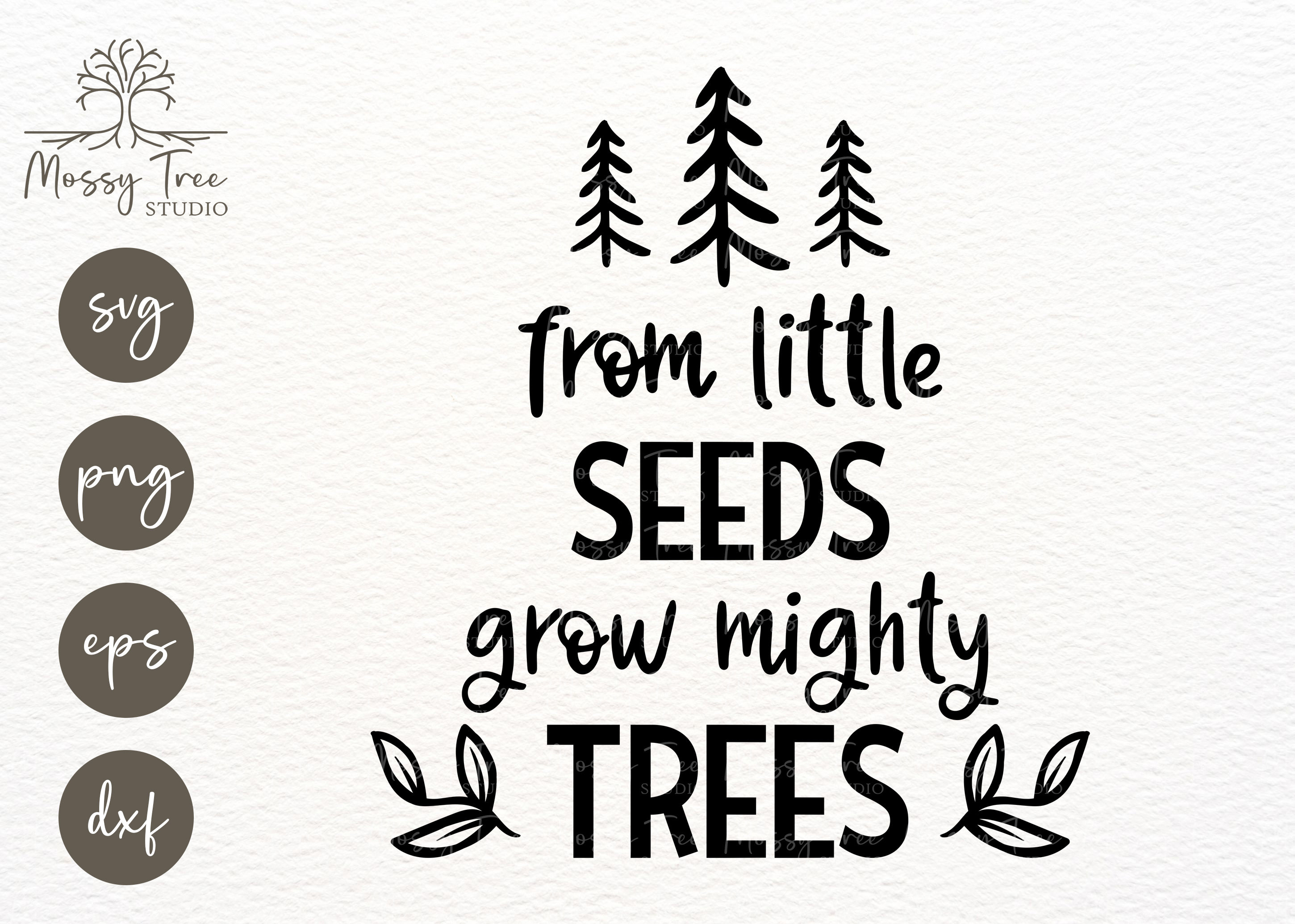 From Little Seeds Grow Mighty Trees SVG | Teacher Appreciation SVG ...