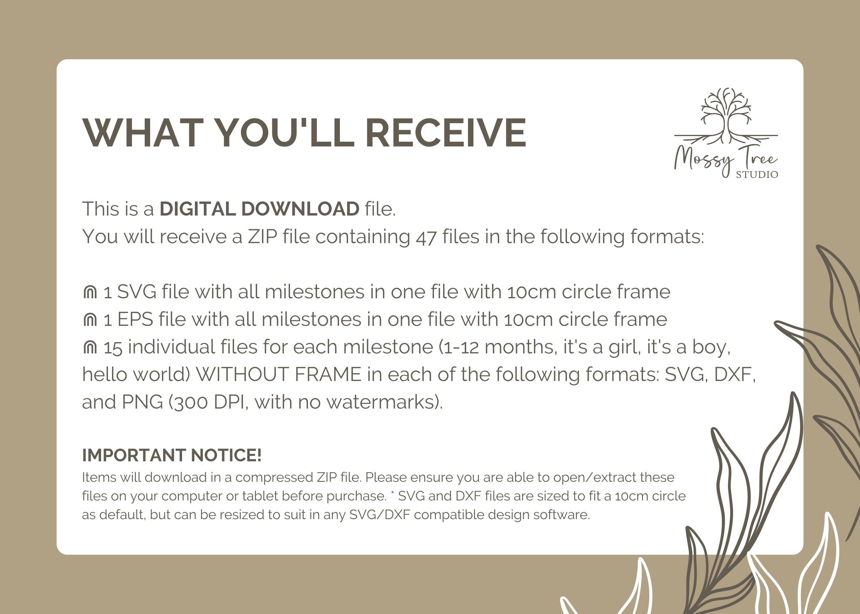 Boho Baby Milestones SVG | Boho Milestones Set | Boho Moon Milestone ...