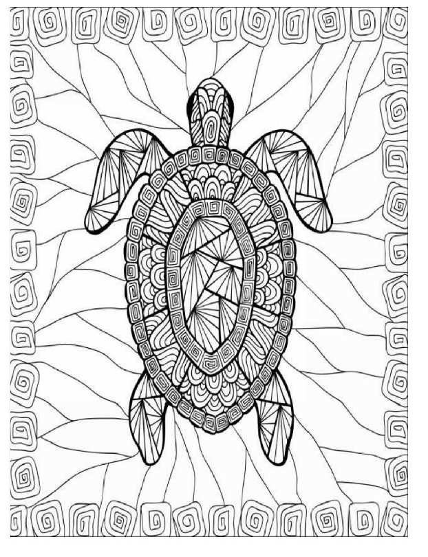 Digital Colouring in 2000+ Pages - Etsy