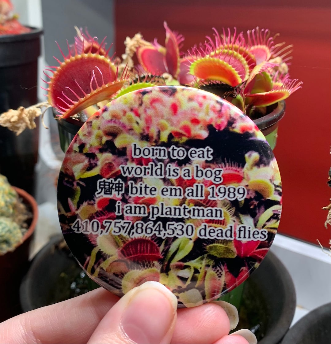 Venus Fly Trap "born to Eat" Button Pin (1.25in OR 2.25in) - Etsy