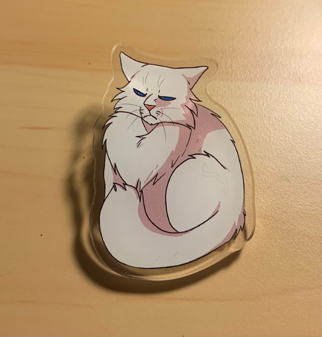 Grumpy Persian Cat Acrylic Pin - Etsy