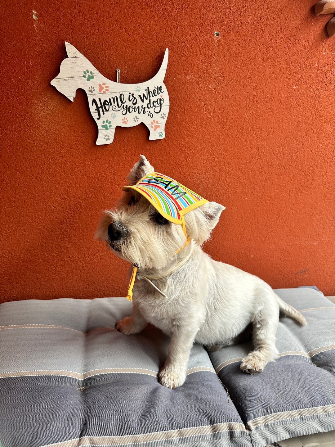 Personalized 100% Cotton Cap for Dogs - Protection and Style for Your ...