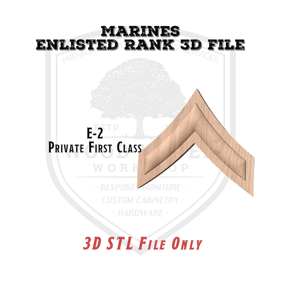Marine Corps Enlisted Rank 3D File E-2 Private First Class Military ...
