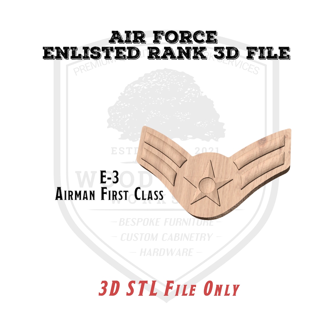 Air Force Enlisted Rank 3D File E-3 Airman First Class Military Rank ...
