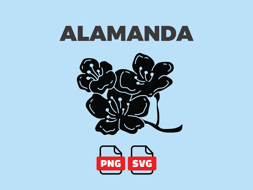 Alamanda Flower Vector Design PNG SVG File Clear Background Png High ...