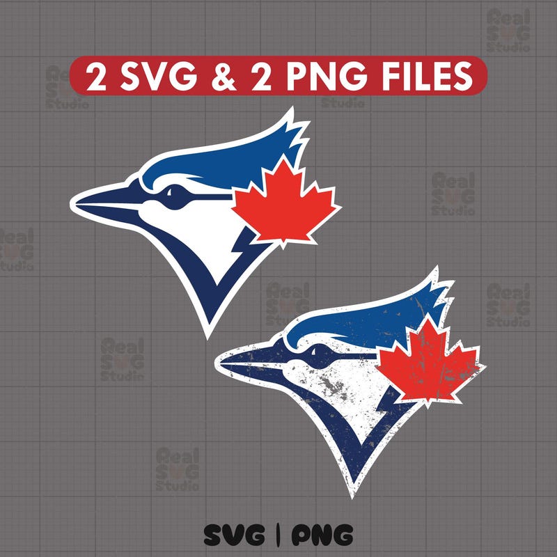 Blue Jay Art - Etsy
