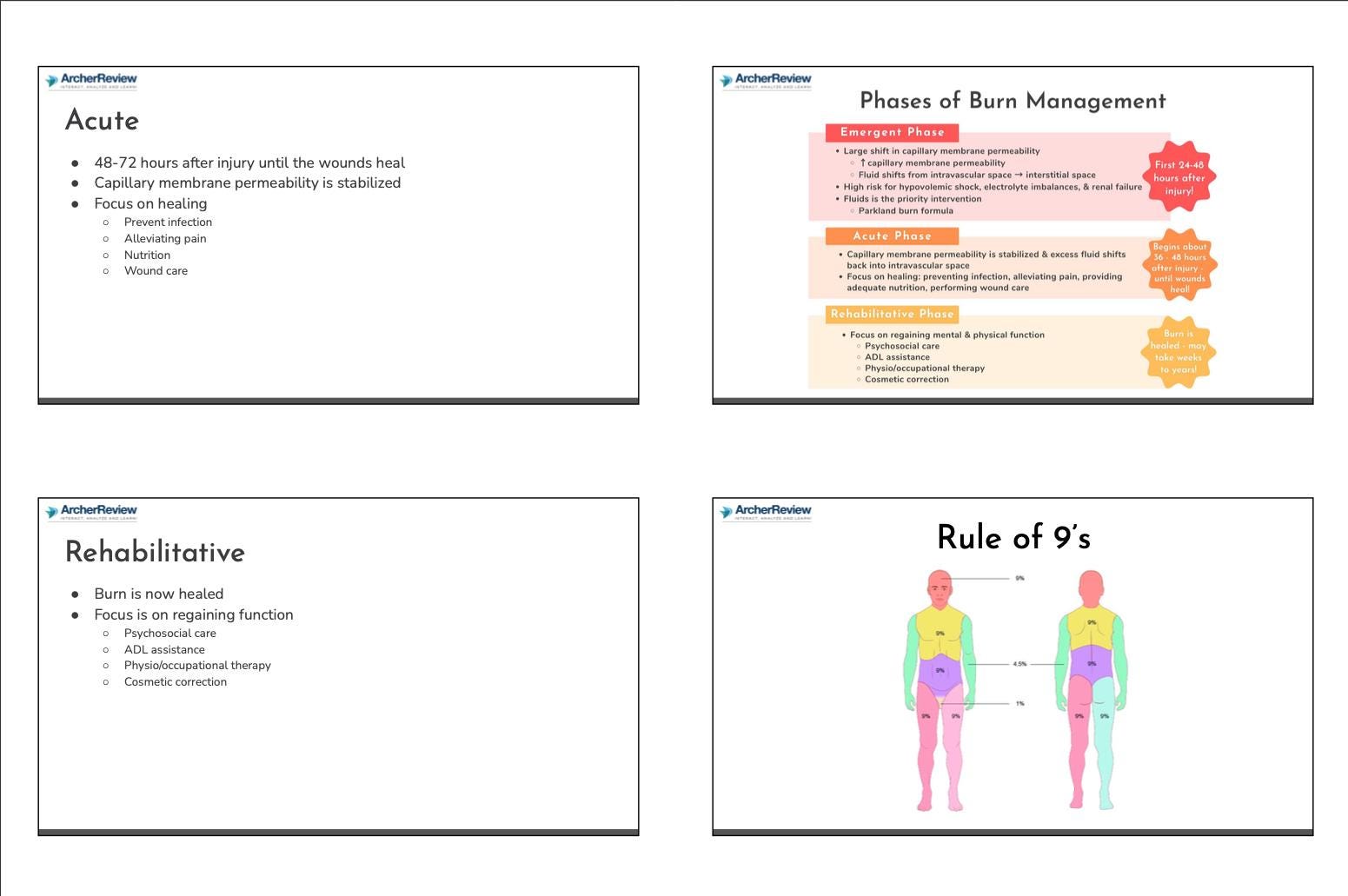 The Integumentary System Notes Printable Digital Download - Etsy