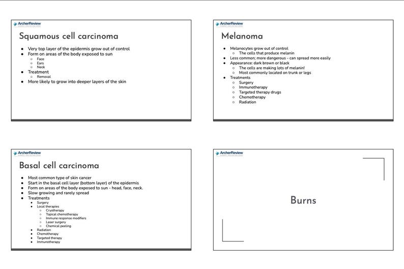 The Integumentary System Notes Printable Digital Download - Etsy