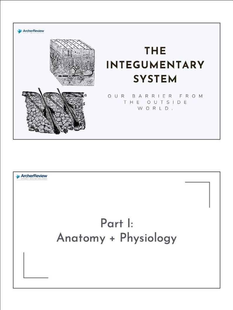 The Integumentary System Notes Printable Digital Download - Etsy