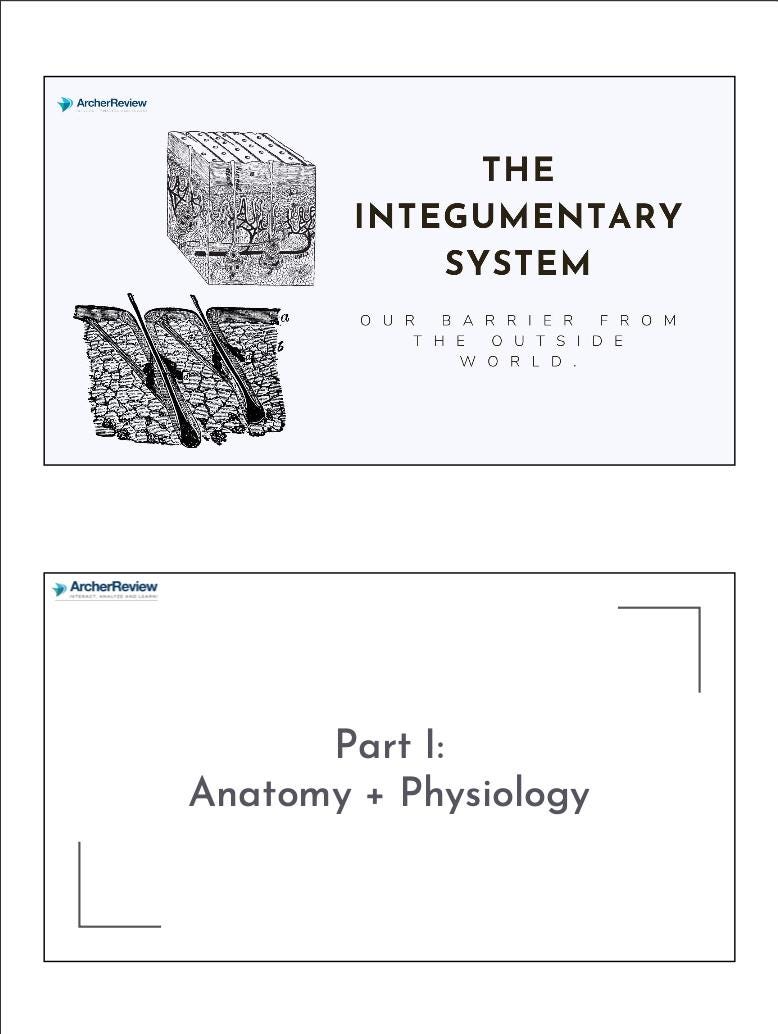 The Integumentary System Notes Printable Digital Download - Etsy