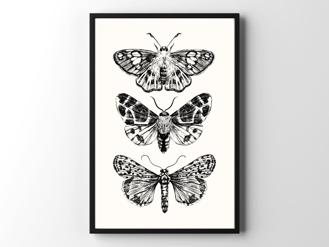 PRINTABLE Vintage Style Moth Digital Download in TWO SIZES - Etsy