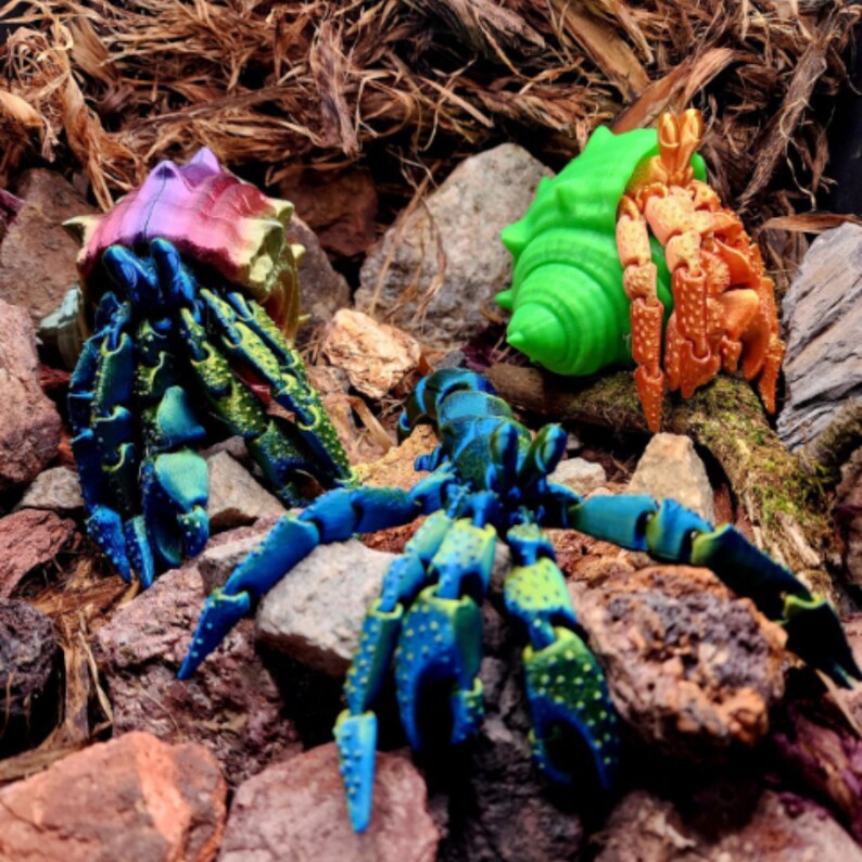 3D Printed Hermit Crab Desk Toy Fidget Companion Art - Etsy