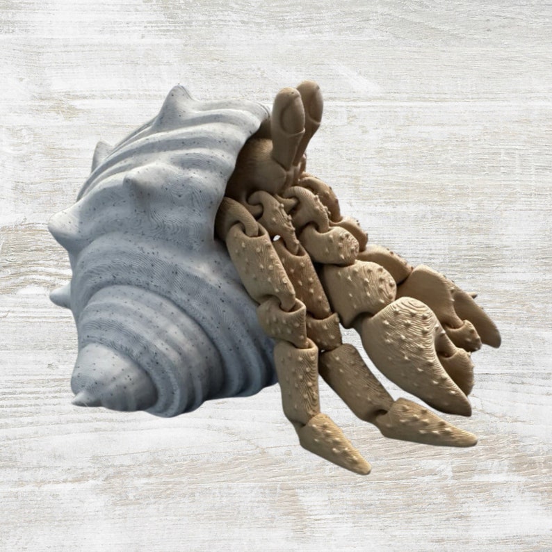 3D Printed Hermit Crab Desk Toy Fidget Companion Art - Etsy