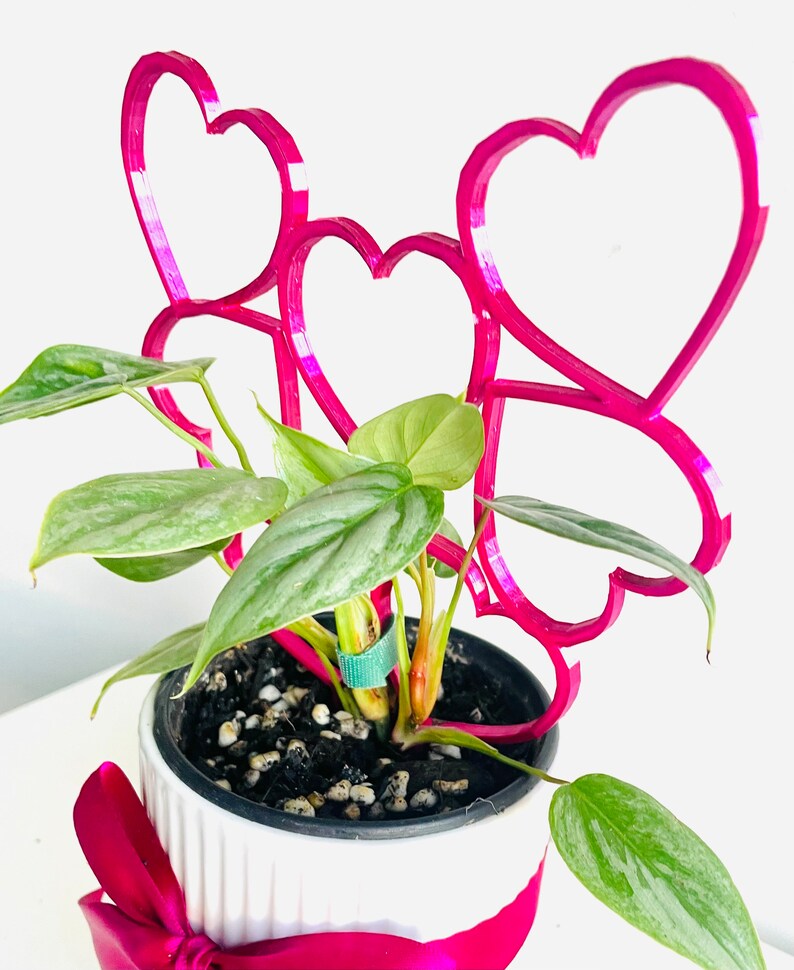 3d Printed Heart Trellis - Etsy