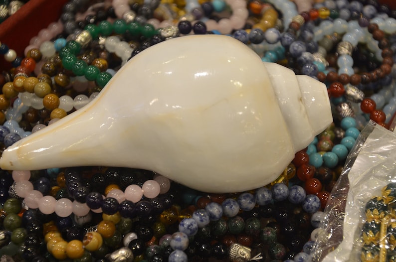 Shell Shankh Pooja Shankha Sound Healing Pooja Shankh Loud Blowing ...