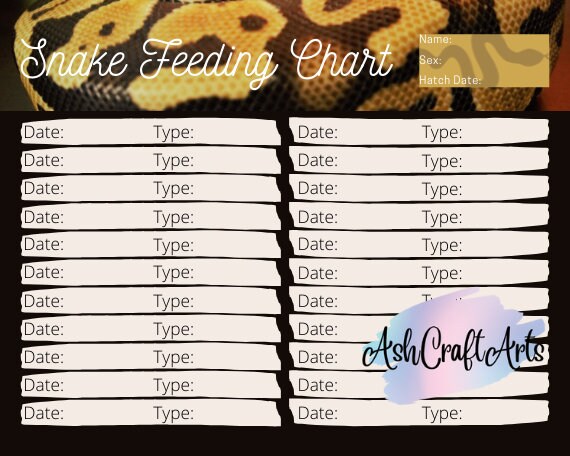 Printable Ball Python Care Chart Bundle Food Shed and - Etsy