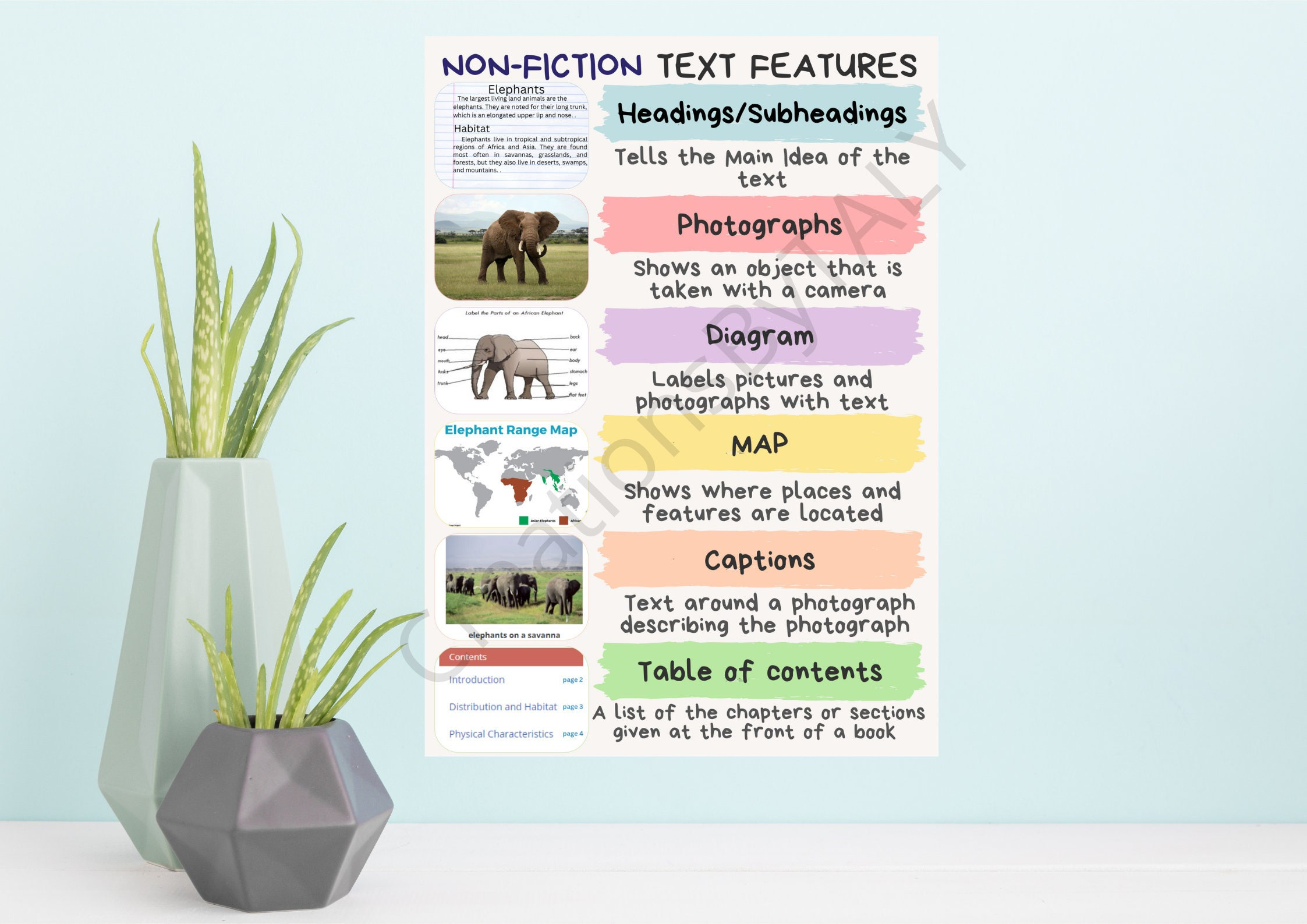 Non-fiction Text Features Anchor Chart Digital Download - Etsy