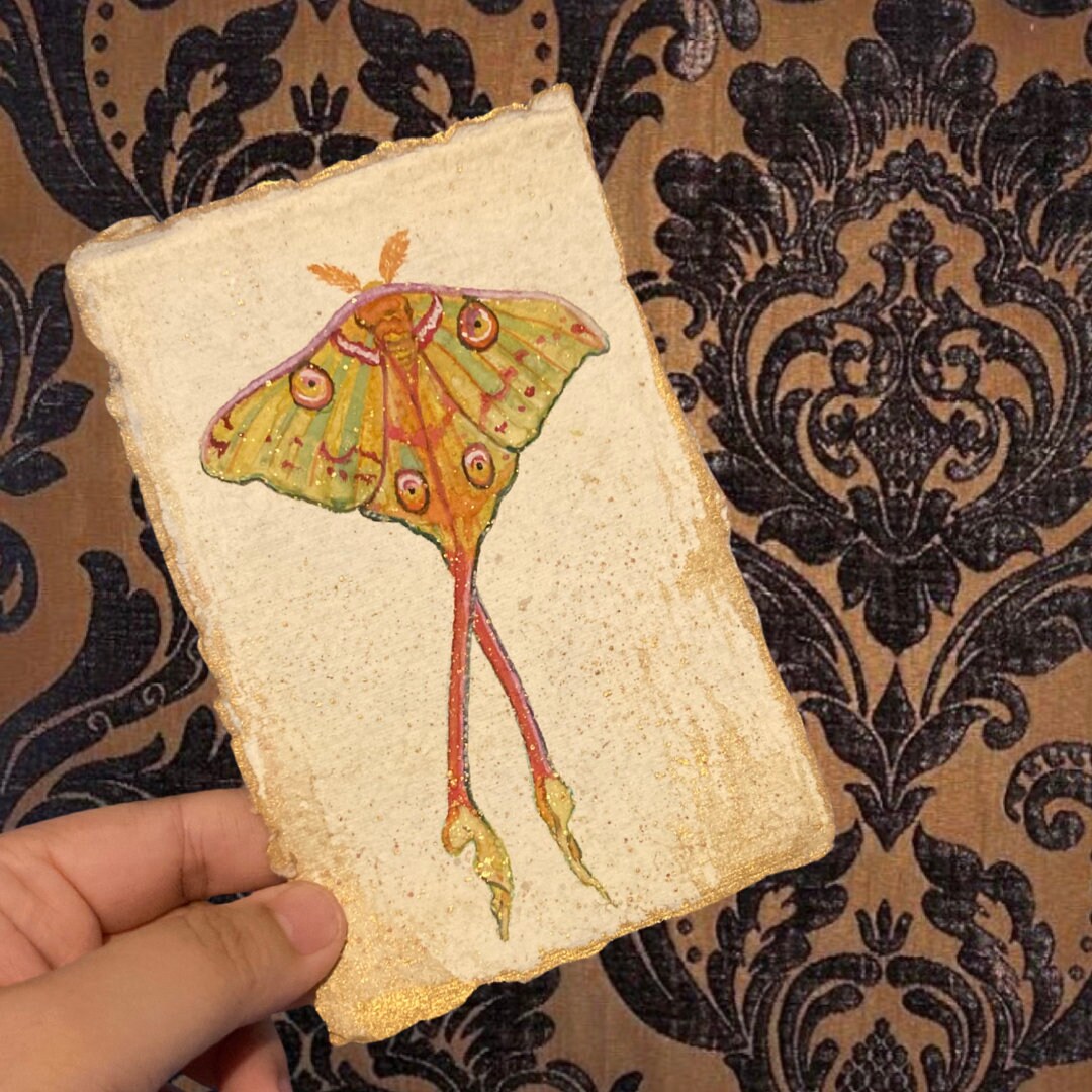 Original Insect Paintings on Handmade Paper, Insect Art, Butterfly ...