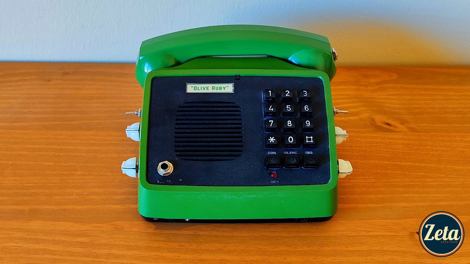 OLIVE RUBY TC Portable Guitar Amp With Built in Tremolo and Microphone ...