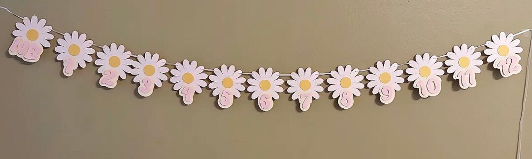 Daisy Photo Banner, Groovy Birthday Party Banner, Daisy Theme Party ...
