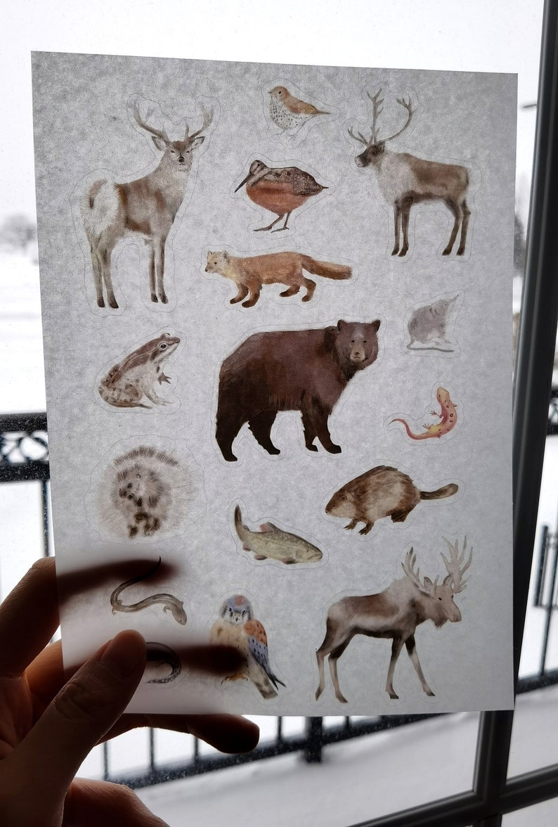 Animaux Du Québec Stickers | Washi Stickers - Etsy