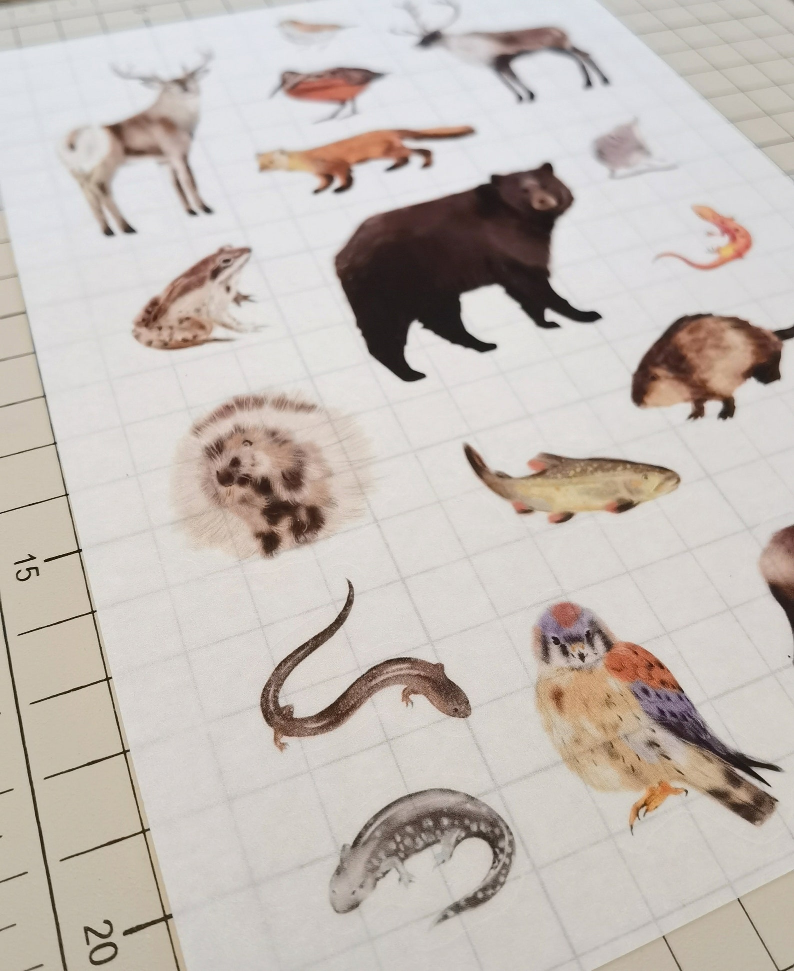 Animaux Du Québec Stickers | Washi Stickers - Etsy