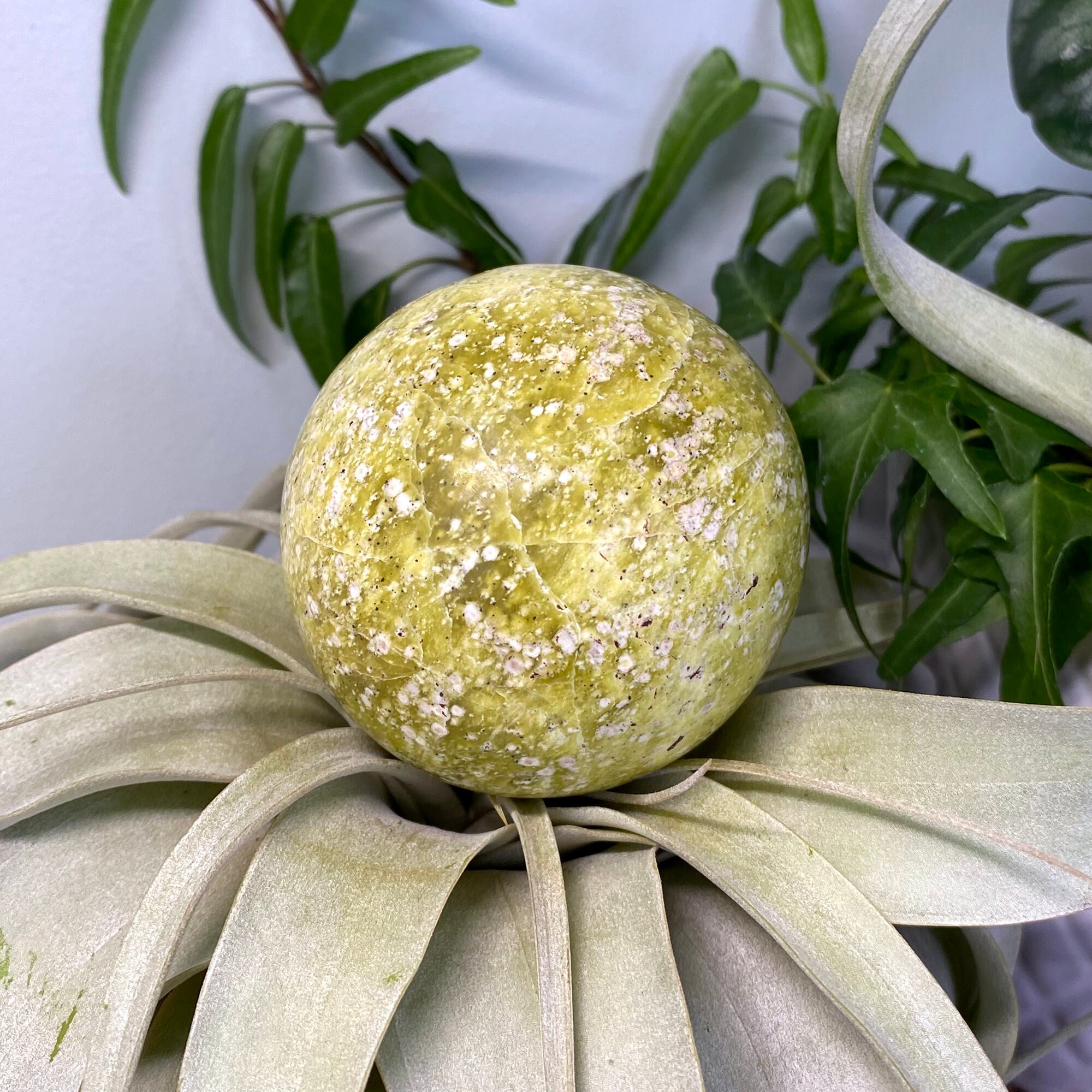 Serpentine Jade Sphere 61mm New Jade Lime Green Jasper - Etsy