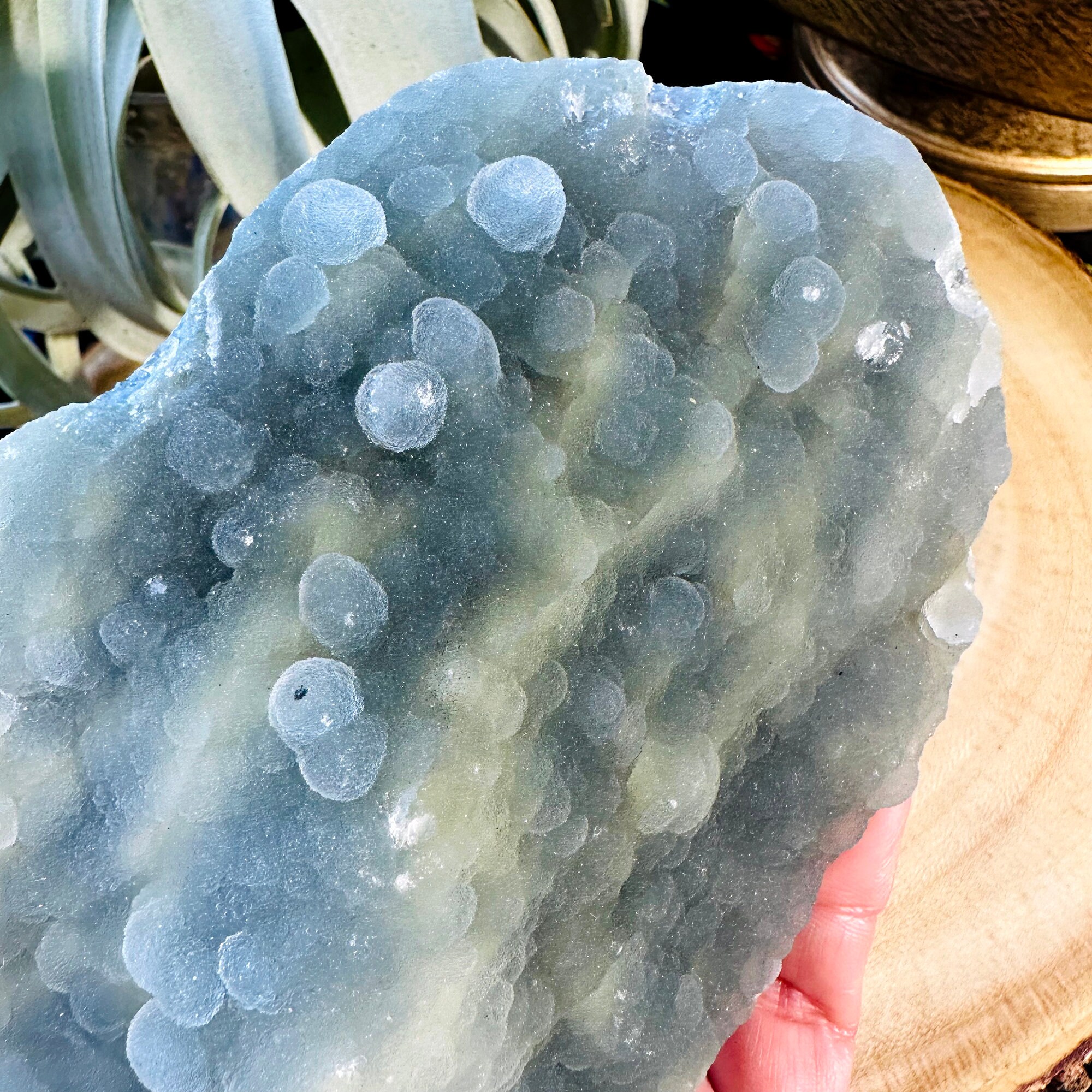 Rare Orbicular Chalcedony Crystal Cluster: Black & White Coral Druzy ...