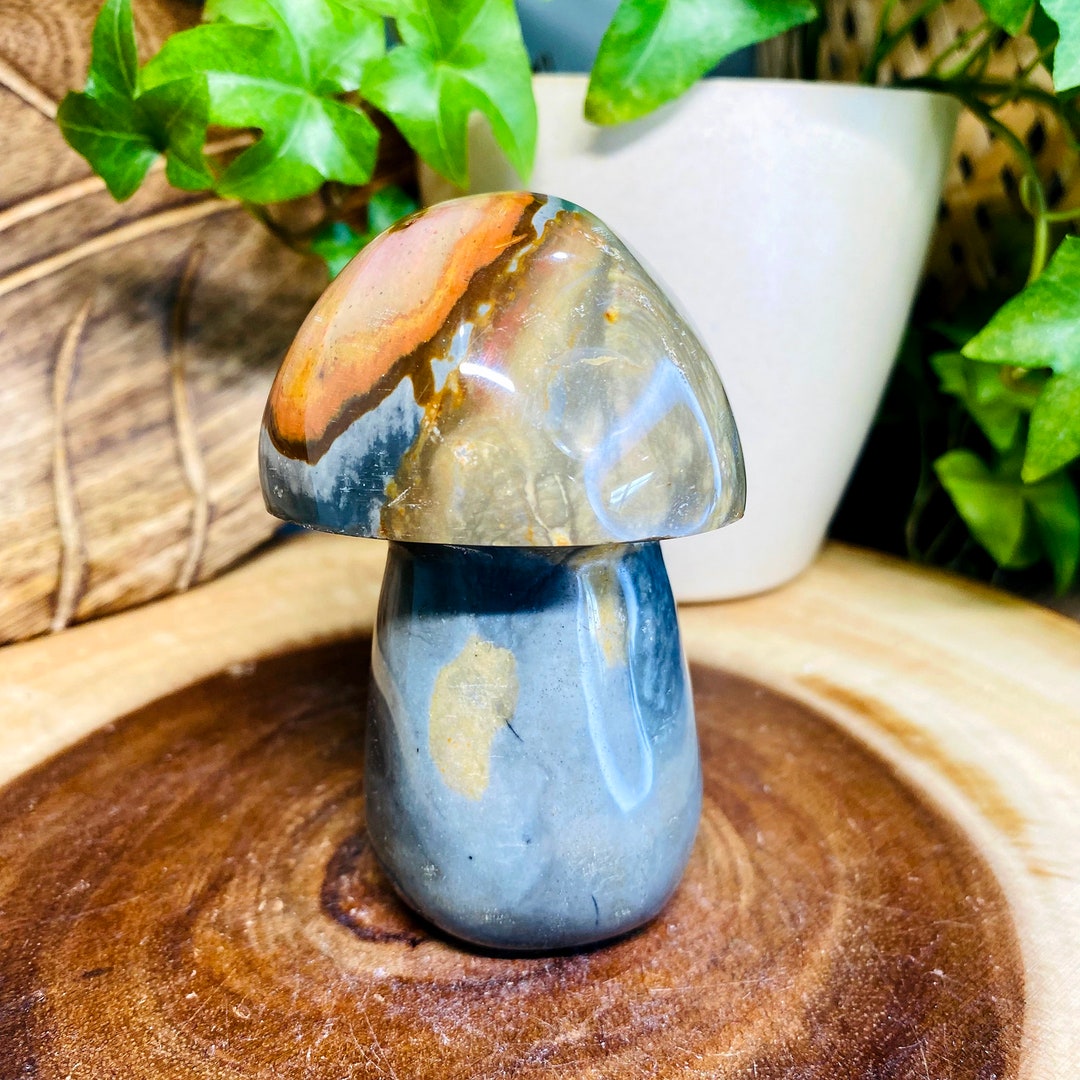 Large Polychrome Ocean Jasper MUSHROOM | 268 Grams | Garden Decor - Etsy