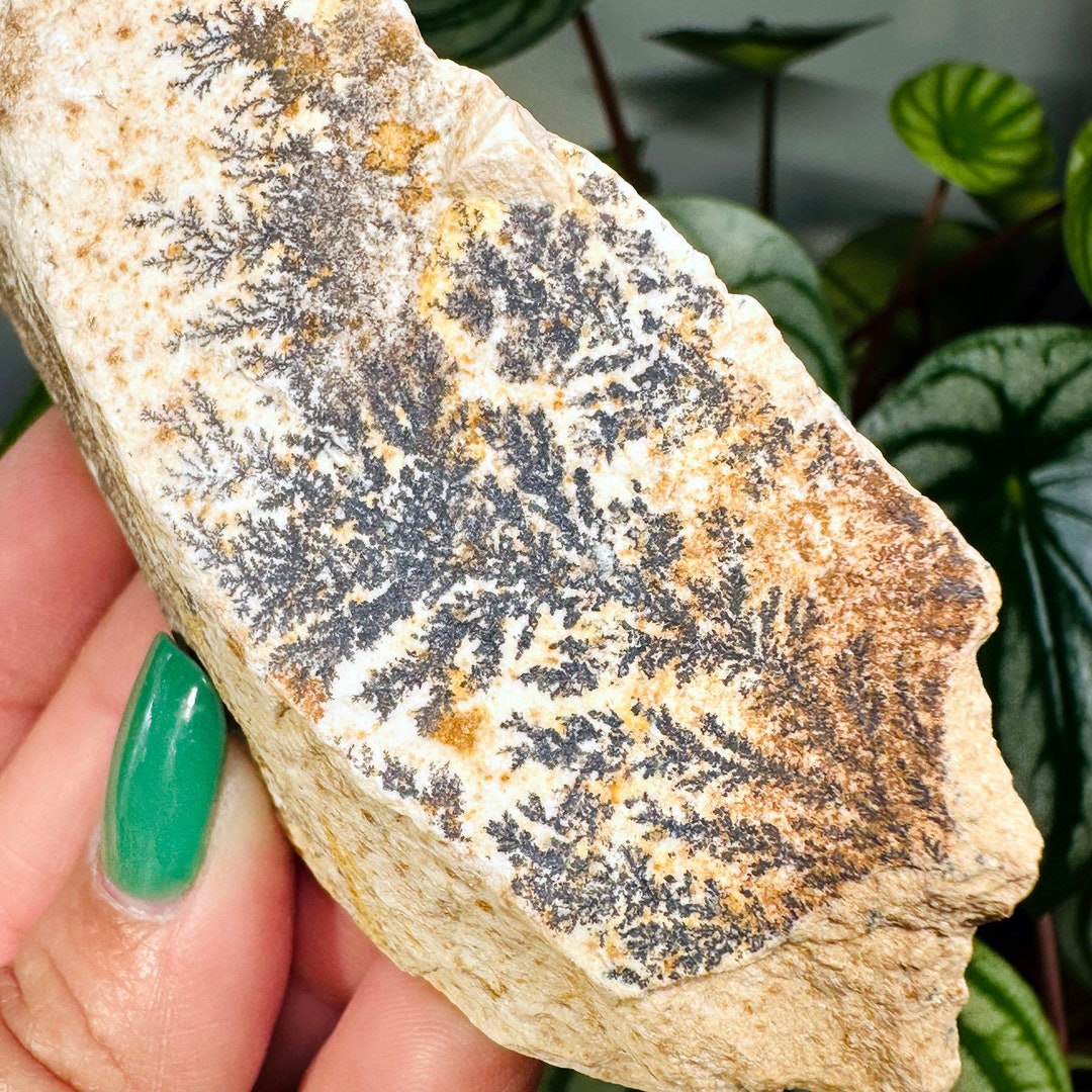 Dendritic Sandstone Crystal Specimen Natural Rough Uncut Freeform, Palm ...