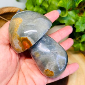 Large Polychrome Ocean Jasper MUSHROOM | 268 Grams | Garden Decor - Etsy