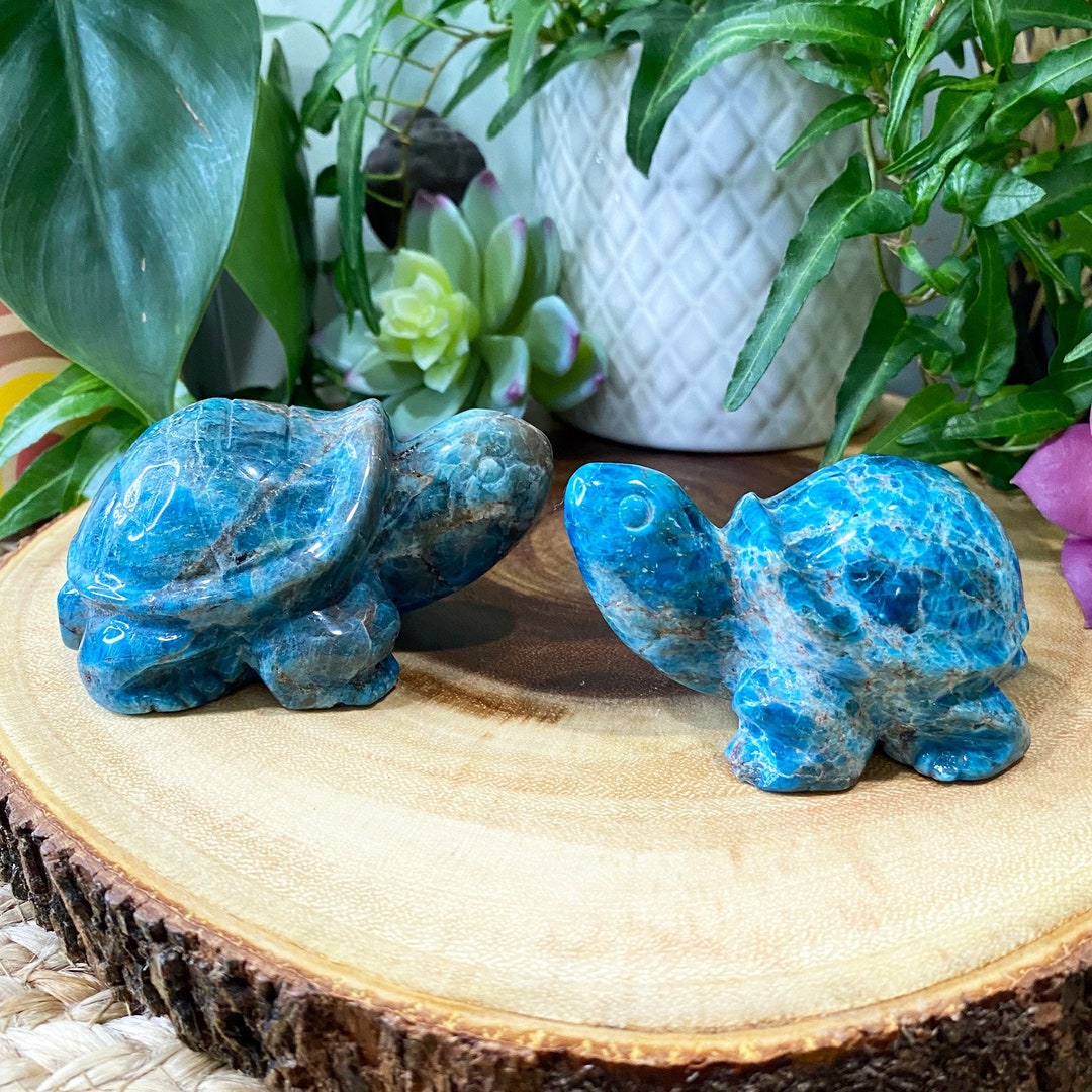 Blue Apatite Crystal Turtle | Animal Carving | Druzy Quartz | Garden ...