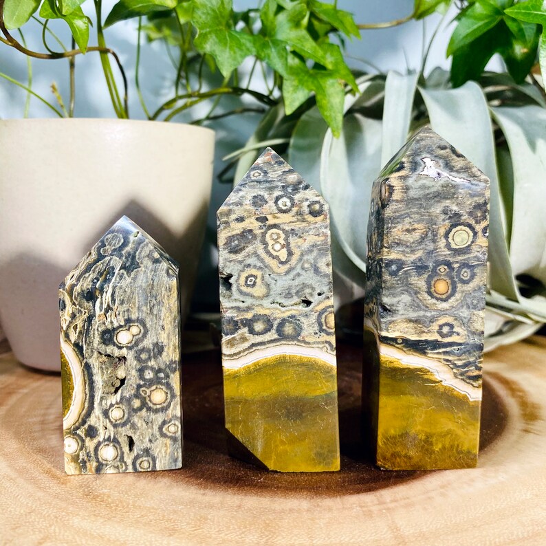 Rare Madagascar Ocean Jasper Crystal Tower: Orbicular Green Yellow - Etsy