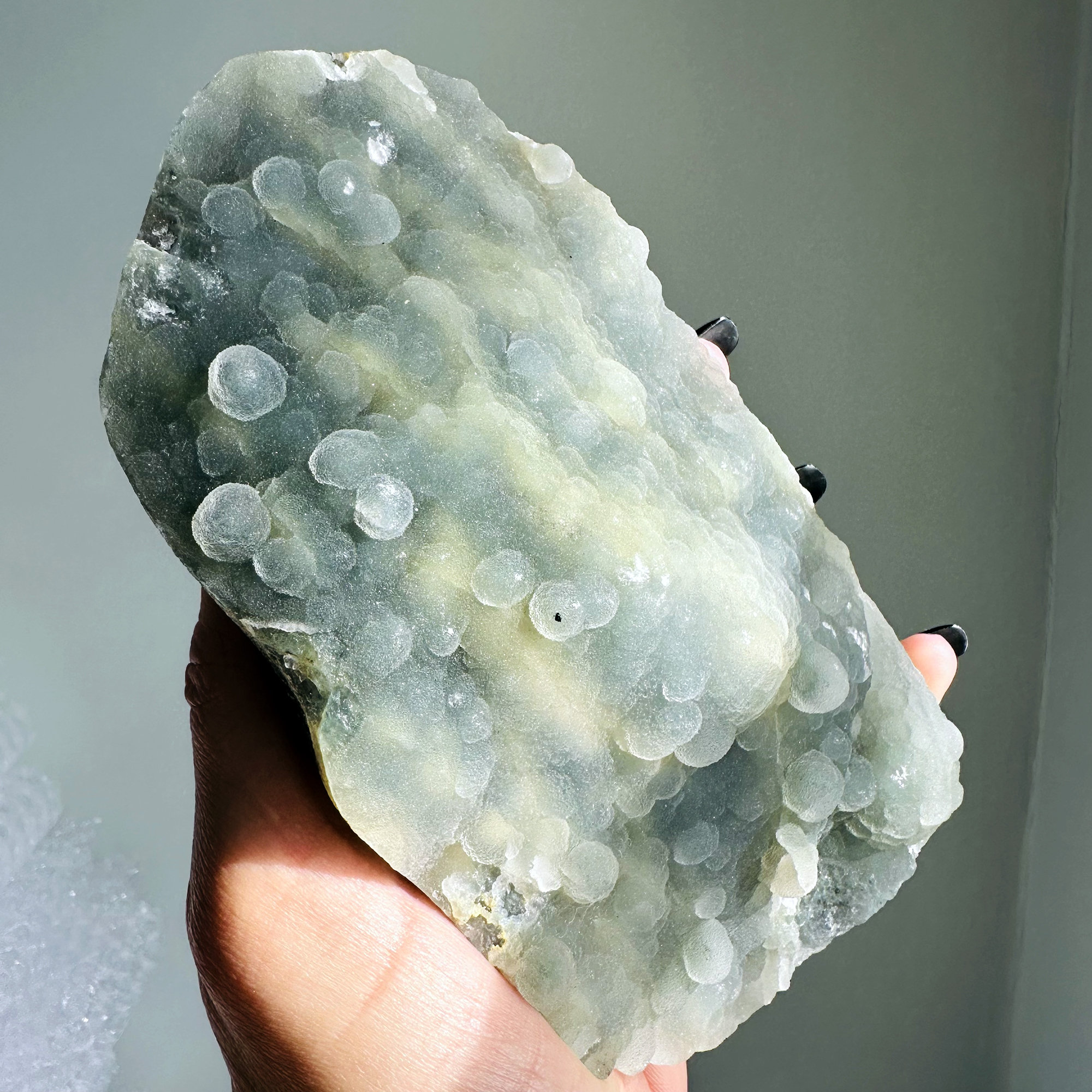 Rare Orbicular Chalcedony Crystal Cluster: Black & White Coral Druzy ...