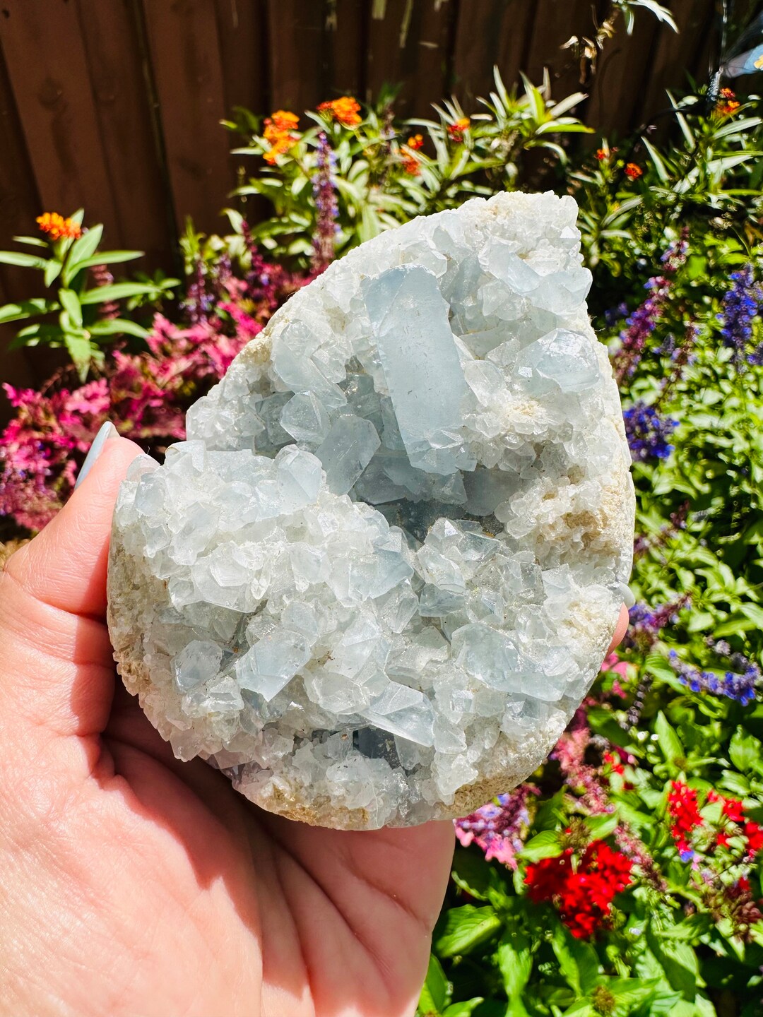 Blue Celestite Teardrop Geode Specimen | Reiki Chakra | 610 Grams ...