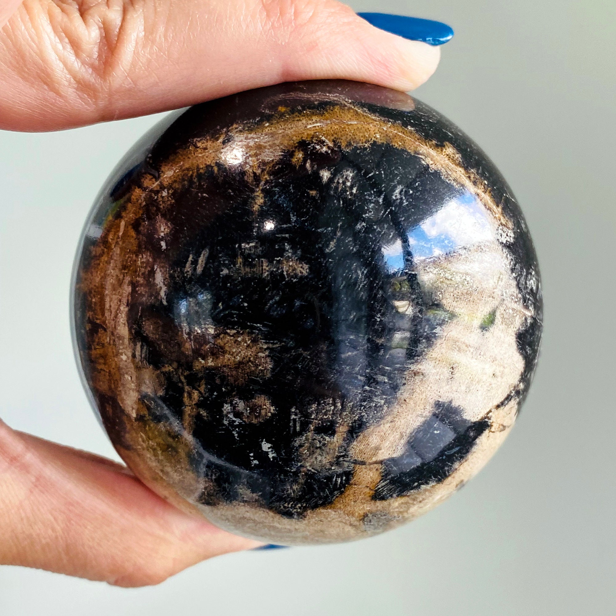 Petrified Wood Crystal Spheres | Black Beige Brown | Druzy Quartz ...