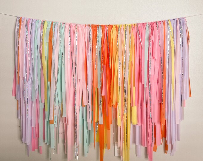 Pastel Rainbow Fringe Streamer Backdrop, Plastic Tablecloth Fringe ...