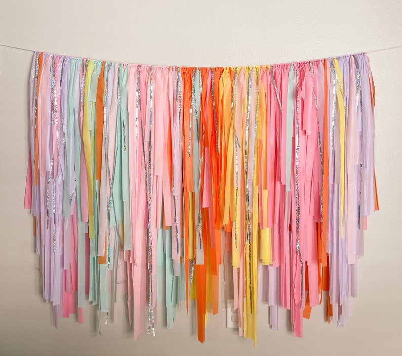 Pastel Rainbow Fringe Streamer Backdrop Plastic Tablecloth - Etsy
