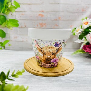 Decoupage Highland Cow Plant Pot, Terracotta Clay, Animal Gift - Etsy