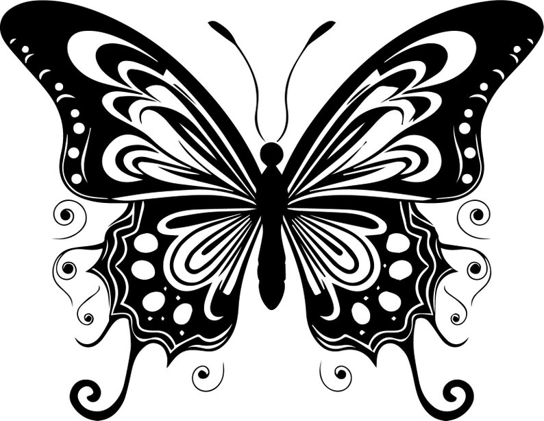 Butterfly Graphic Bundle | SVG/PNG/EPS Files | Instant Digital Download ...