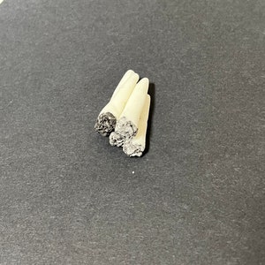 Fondant Edible Joint Fake Joint Weed Cake Decoration Weed Birthday - Etsy