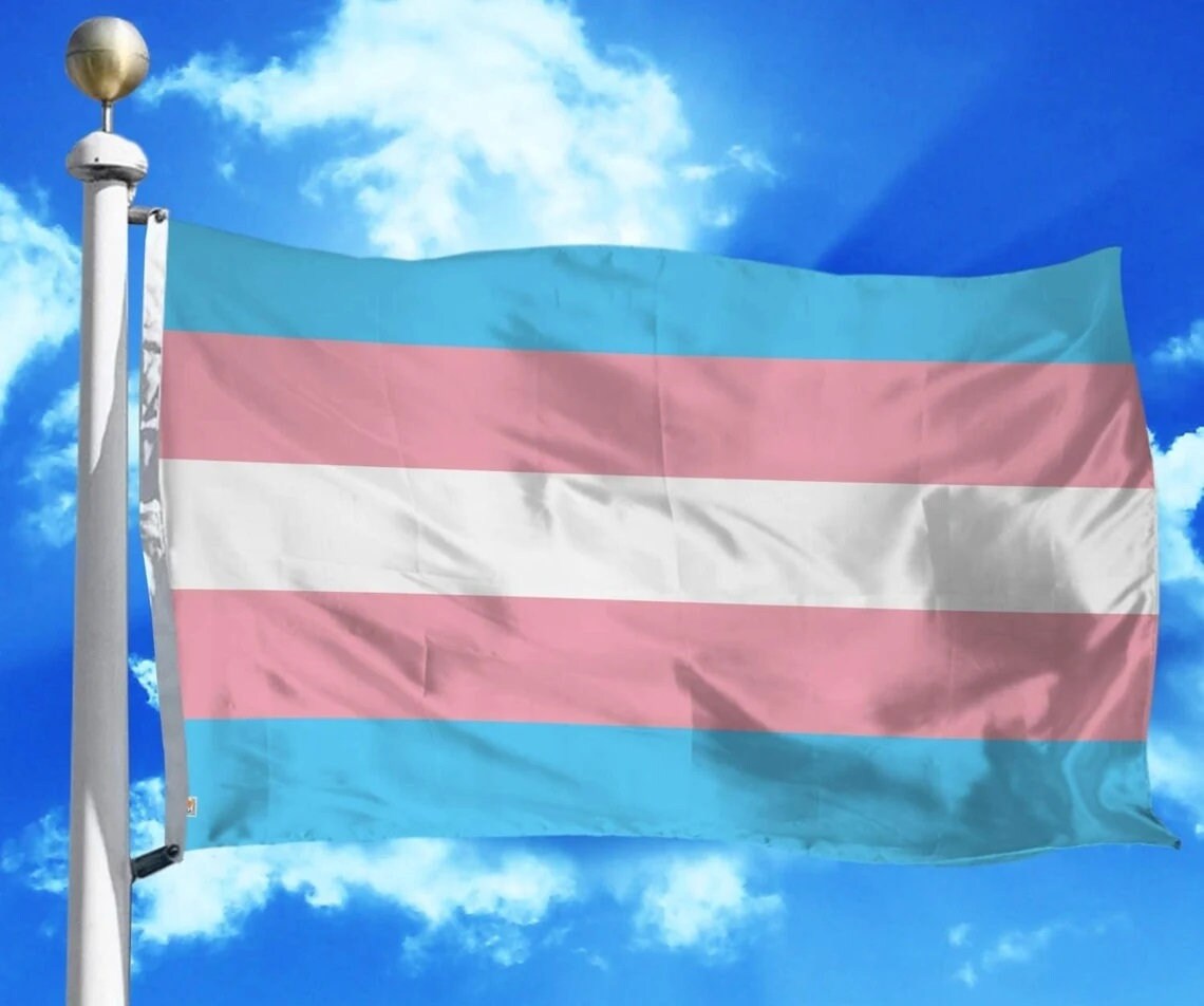 Transgender Pride Flag 3x5ft, Trans Pride Flag, LGBT Gay Pride Flag ...