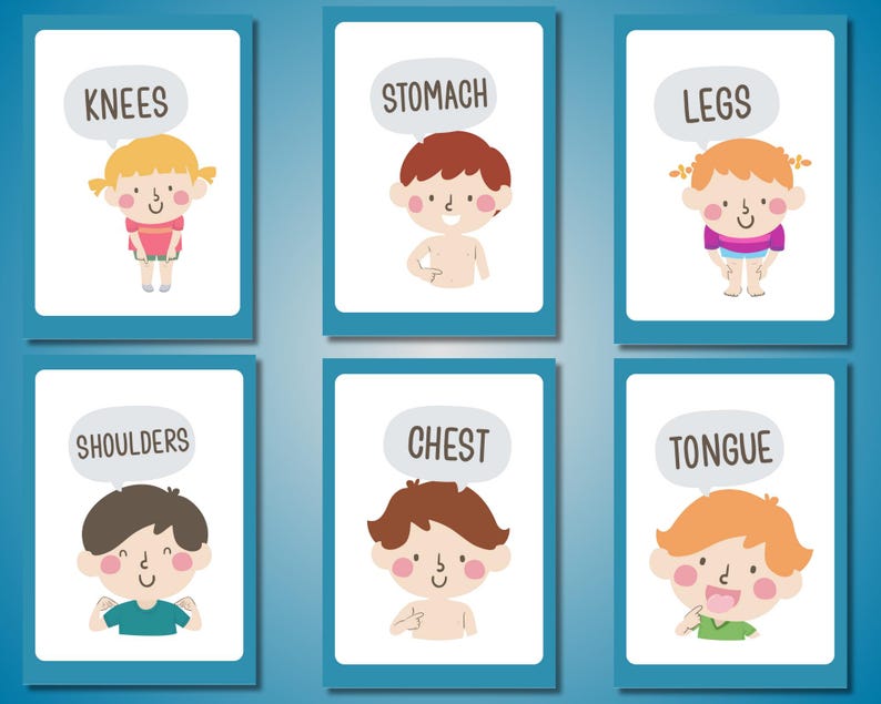 19 Body Part Flashcards, Montessori Materials, Human Body Flashcards ...